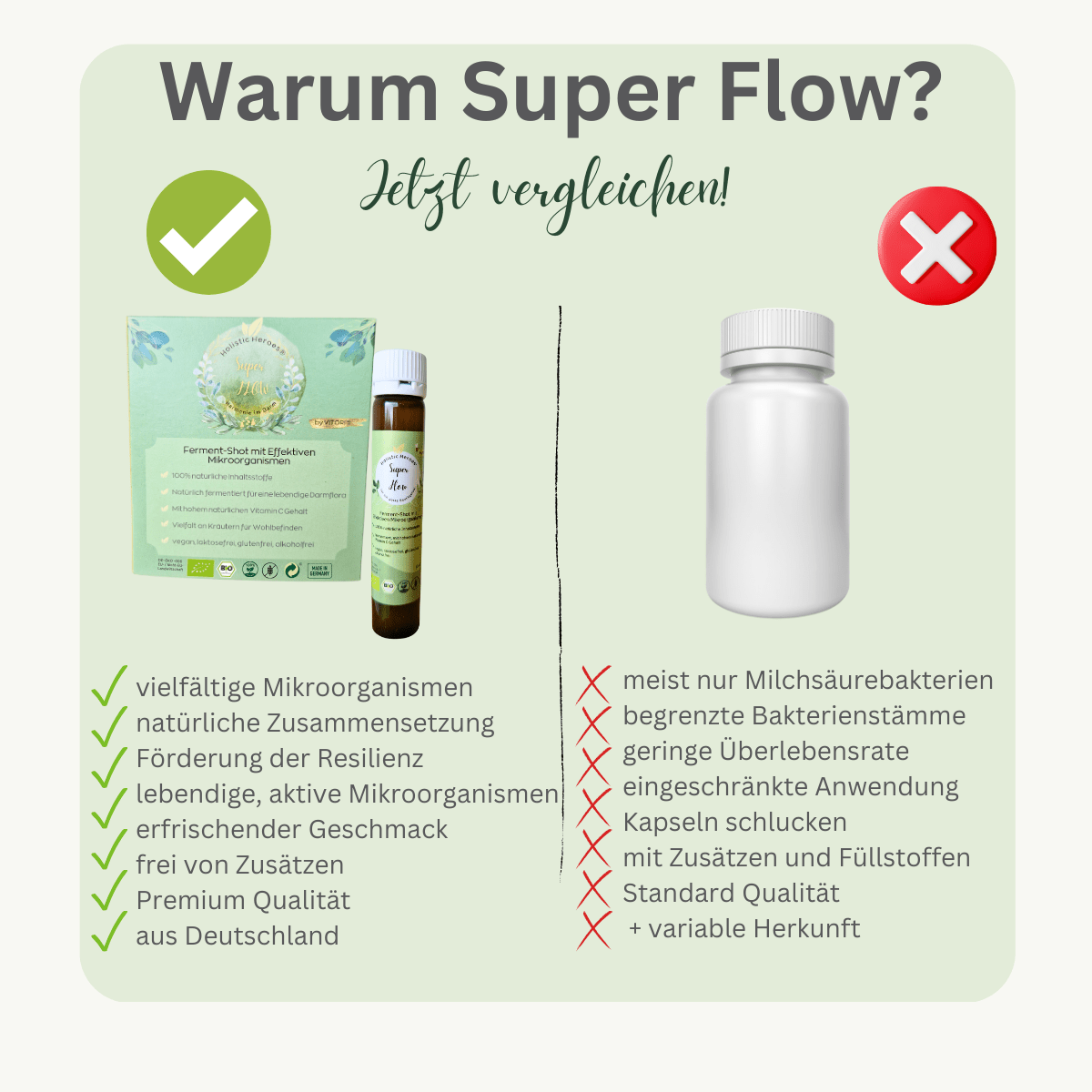 Ganzheitliche Nahrungsergänzungsmittel – Holistic Heroes GmbH